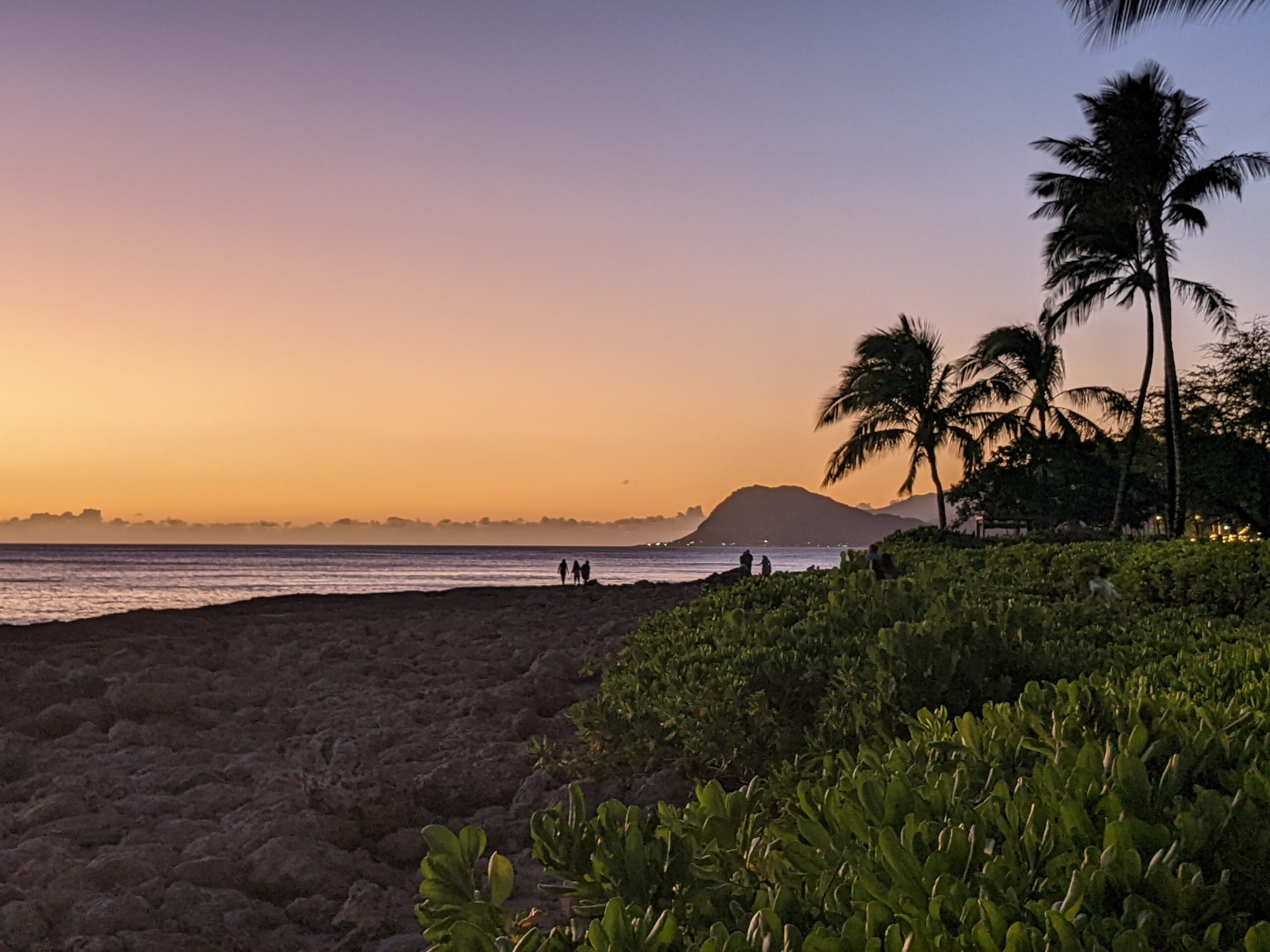 CSA Hawaii Anesthesia Meetings - California Society of Anesthesiologists